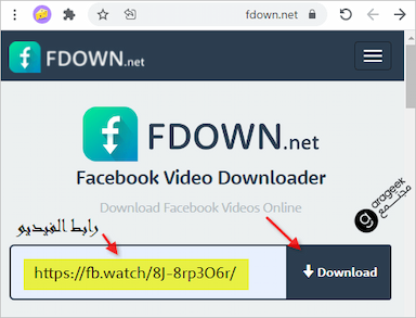 تحميل وتنزيل وحفظ فيديو من Facebook - كل الطرق والبرامج